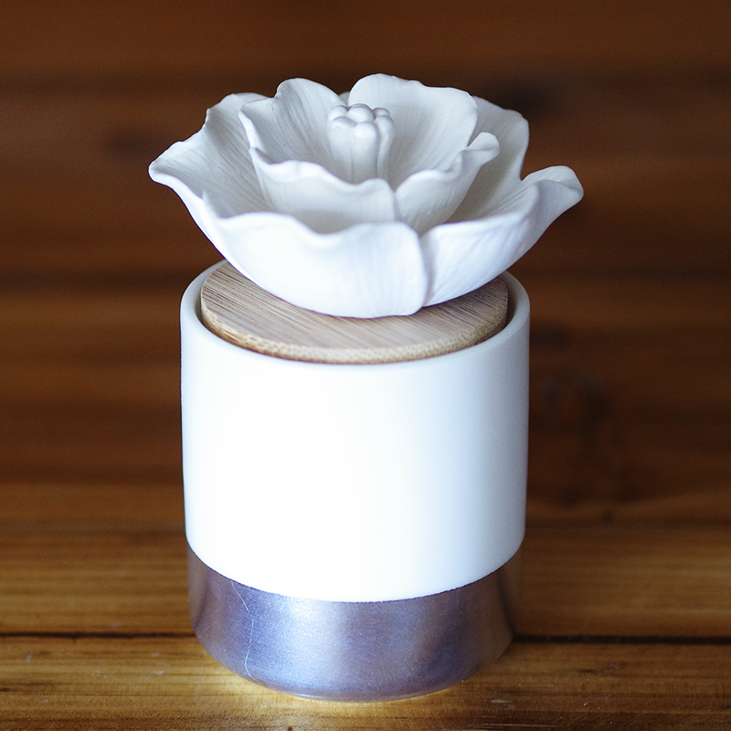 Fragrance Ceramic Perfume Diffuser with Bamboo Lid And Cactus on Top ...