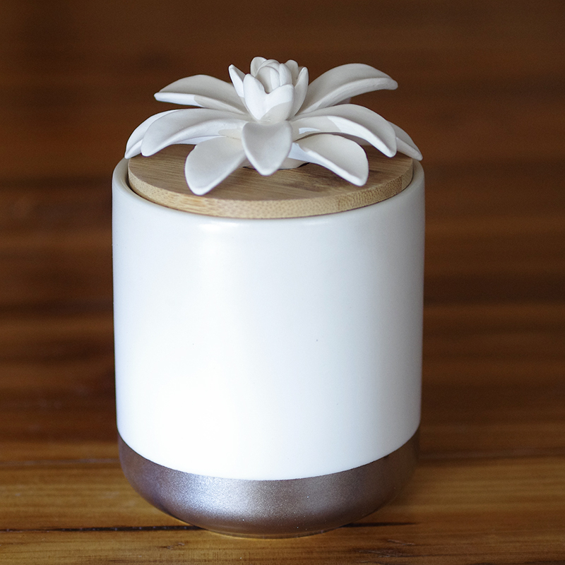 Fragrance Ceramic Perfume Diffuser with Bamboo Lid And Cactus on Top ...